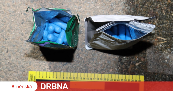 Motorkář pašoval do Česka kokain na Harleyi. Nařídil mu to gang